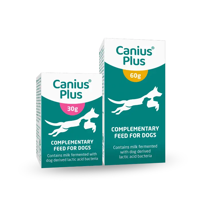 Canius® Plus – Mælkesyrebakterier til hunde