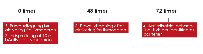 Hjælp til hopper med fertilitets udfordringer